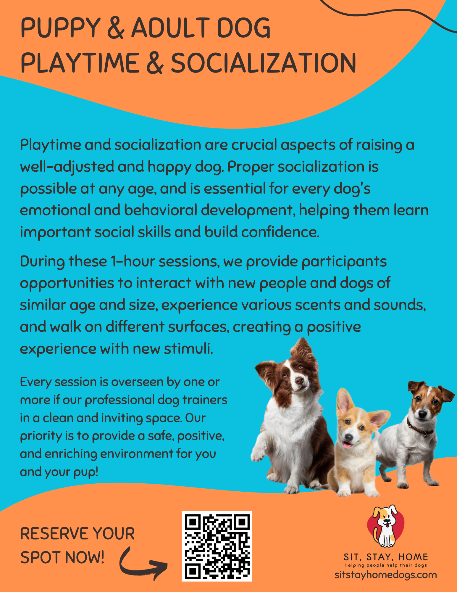 Dog Socialization - Up In The Chair